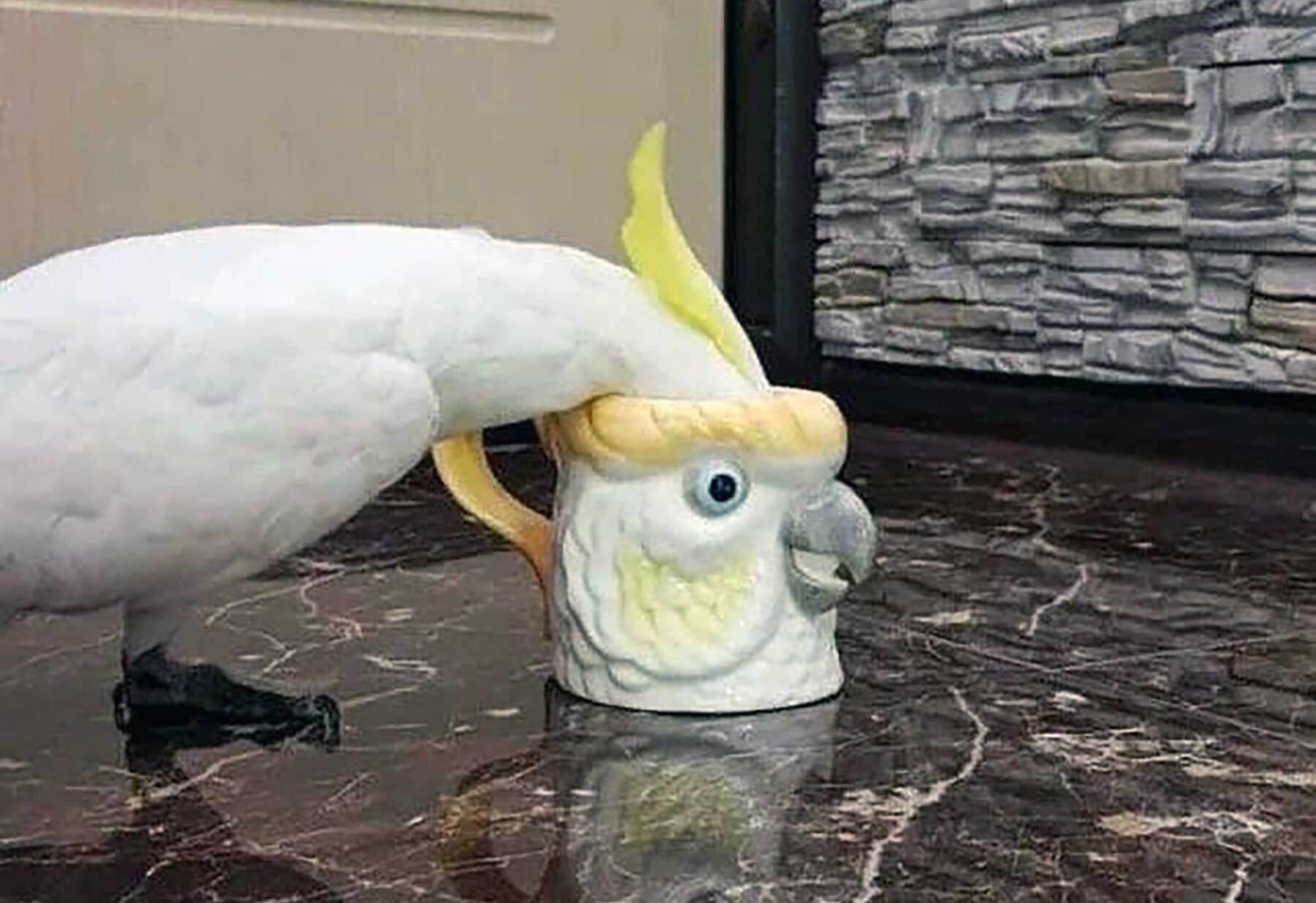 4 FotografInnen 1 Model - Wie unterschiedlich werden gleiche ...