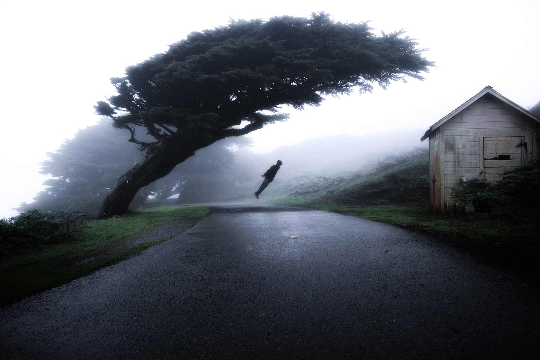 4 FotografInnen 1 Model - Wie unterschiedlich werden gleiche ...